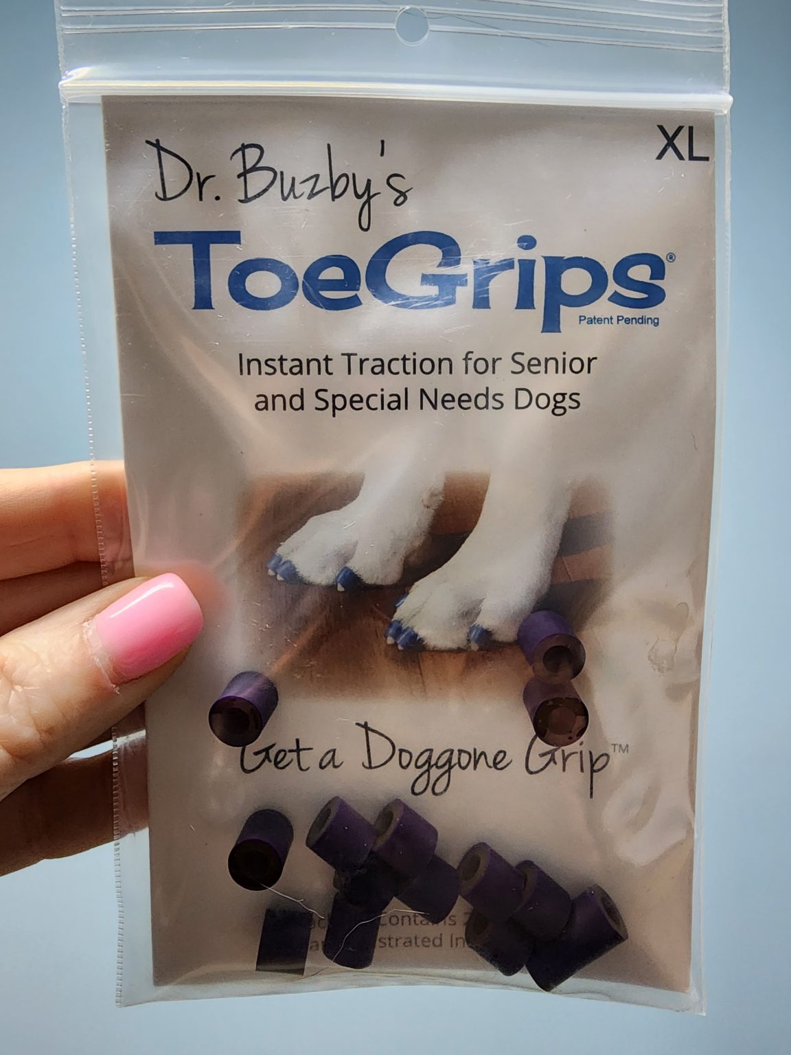 Tips for Managing Your Senior Dog – Bite-Sized Veterinary Guides